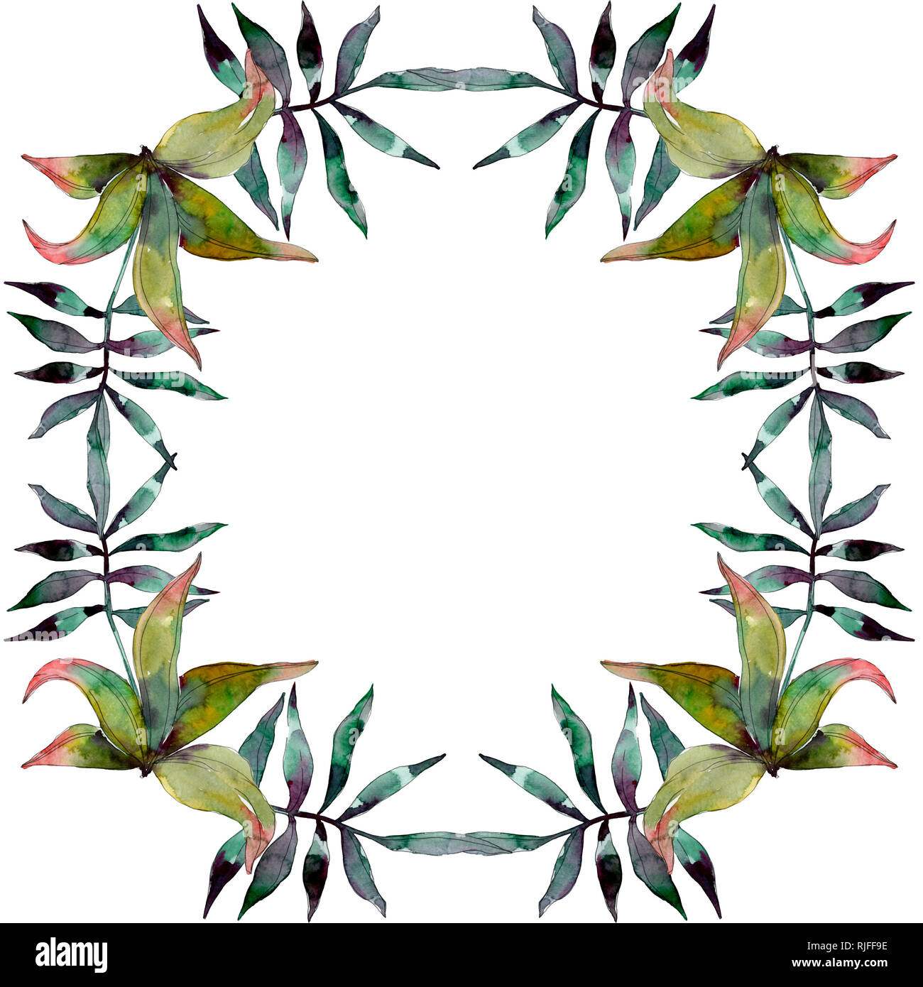 Garden foliage exotic Cut Out Stock Images & Pictures - Alamy