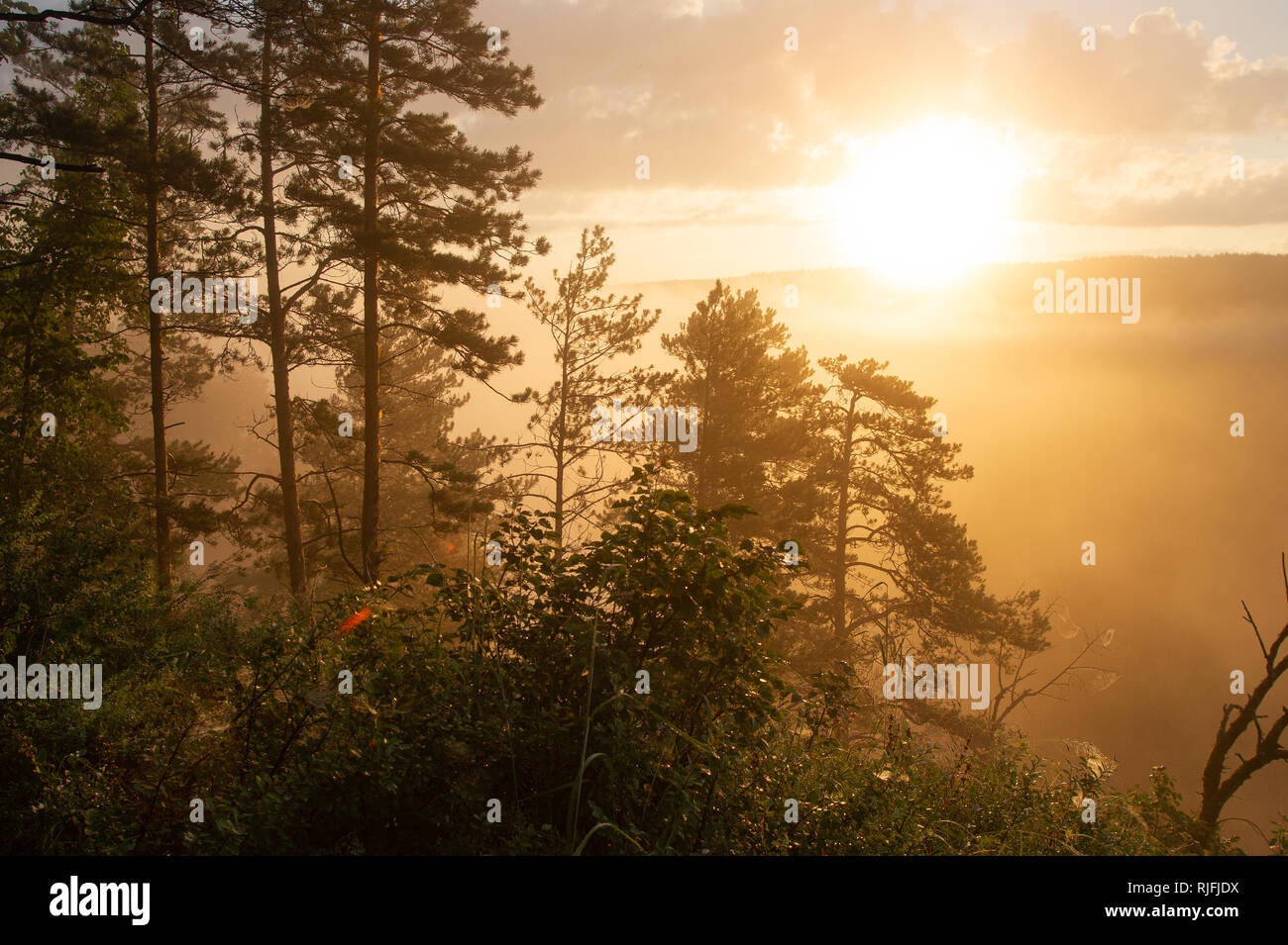 morning sun breaking through the fog. landscape Stock Photo - Alamy