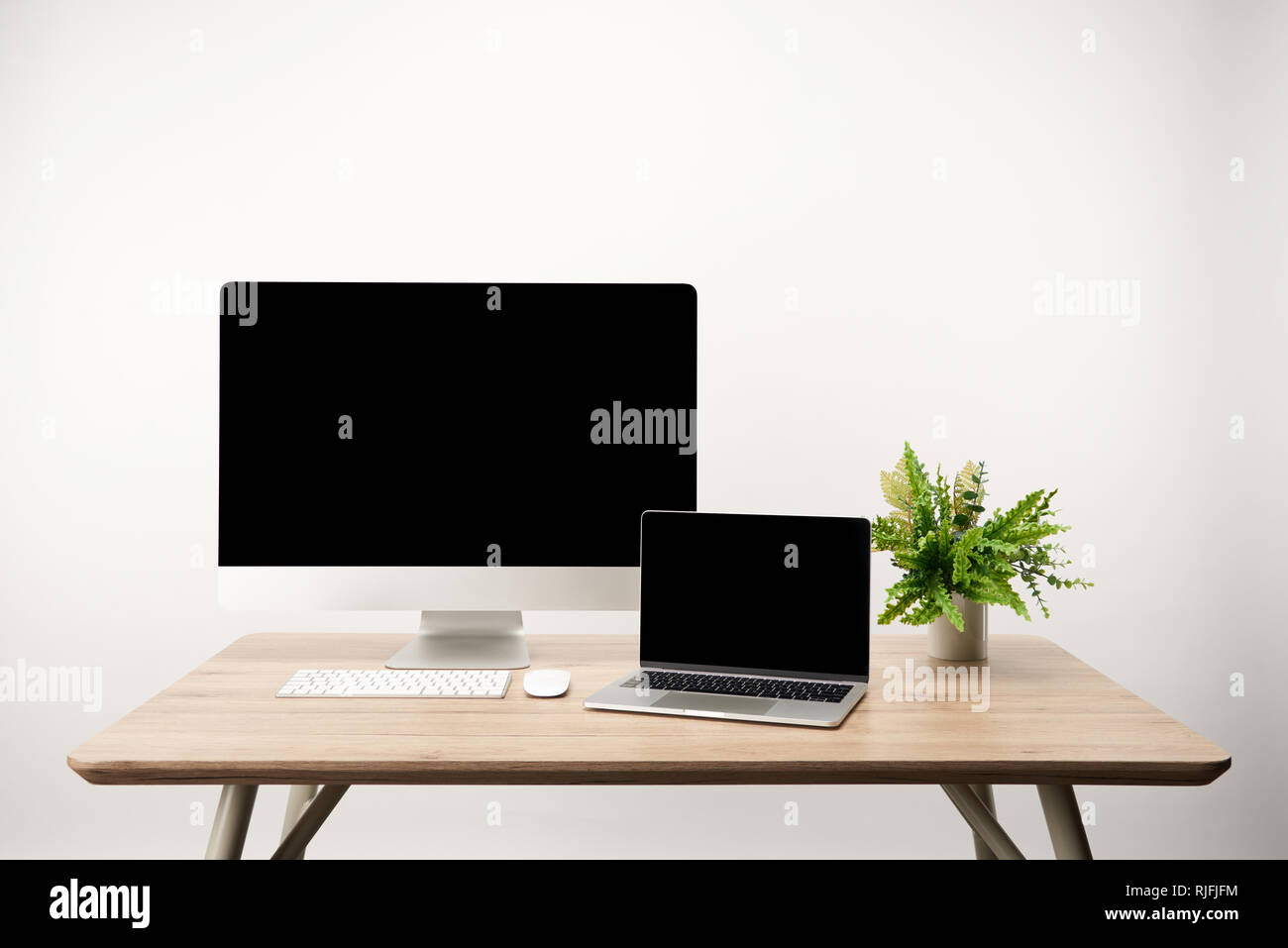 workplace with plant, desktop computer and laptop with copy space ...