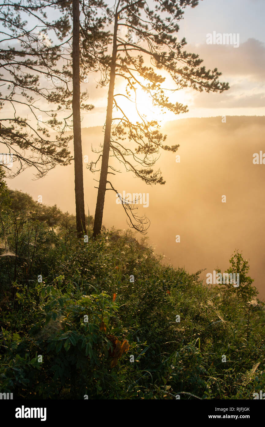 morning sun breaking through the fog. landscape Stock Photo - Alamy