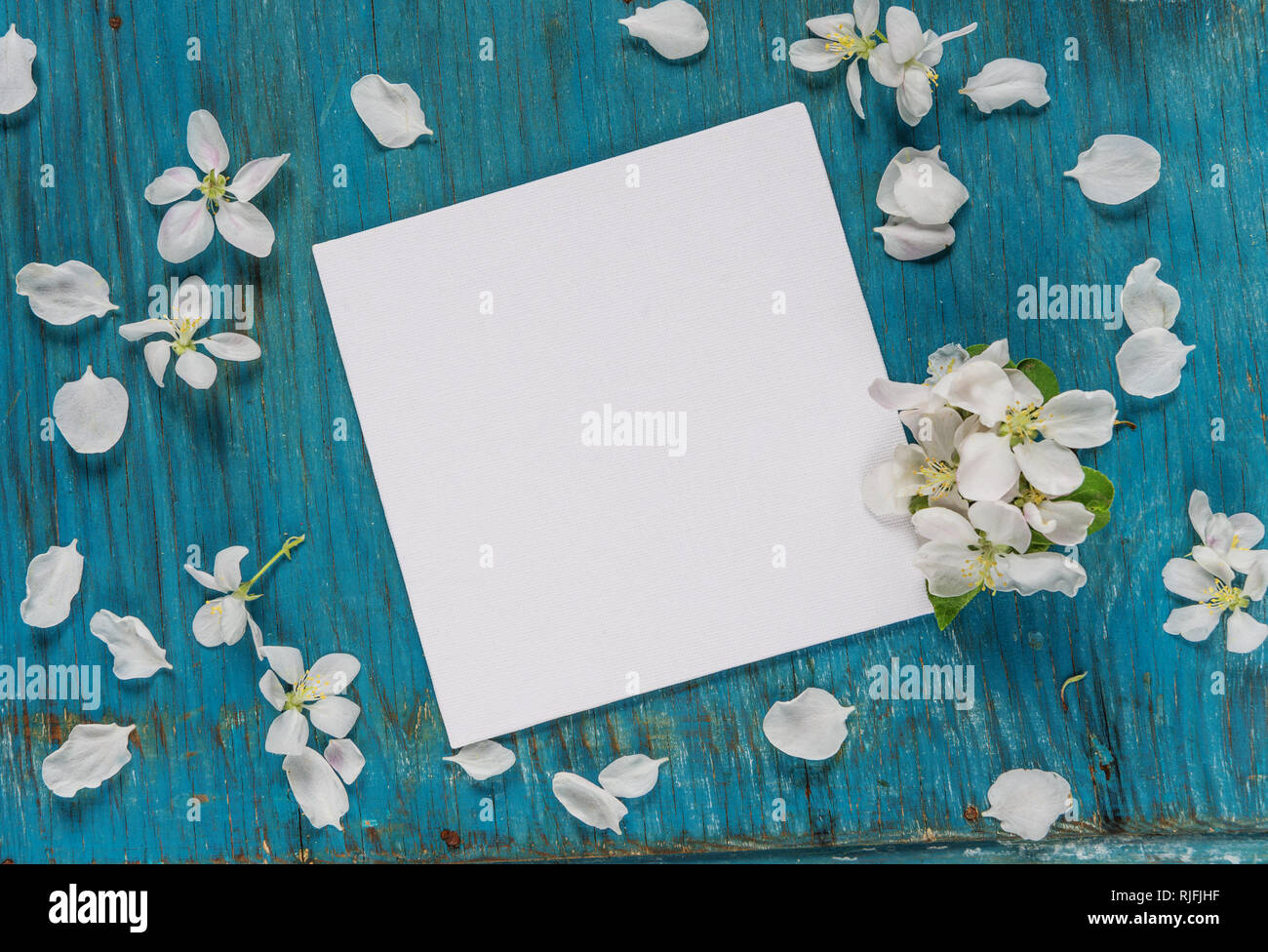 Photo Album Page Background