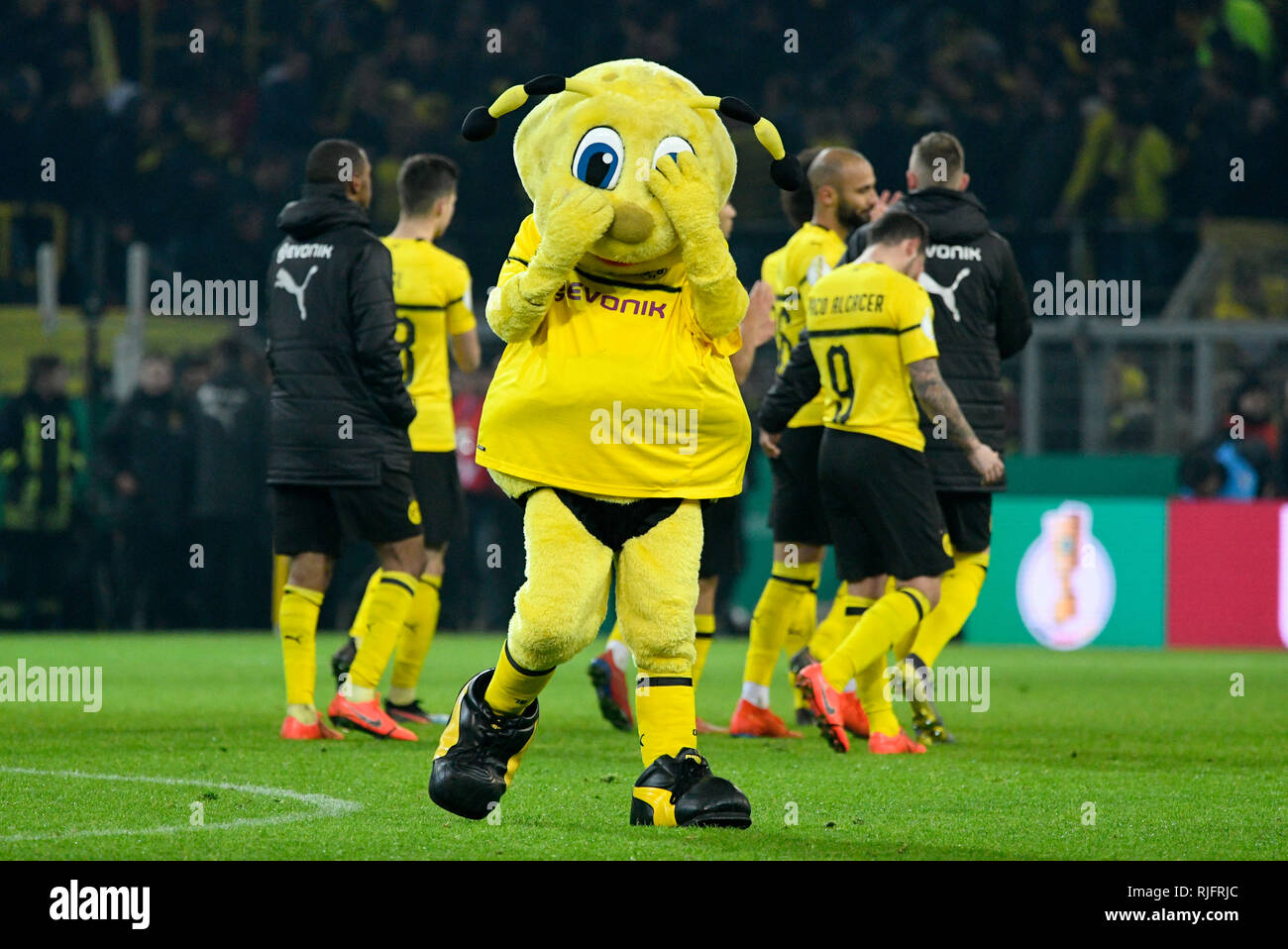 National park mascot hi-res stock photography and images - Alamy