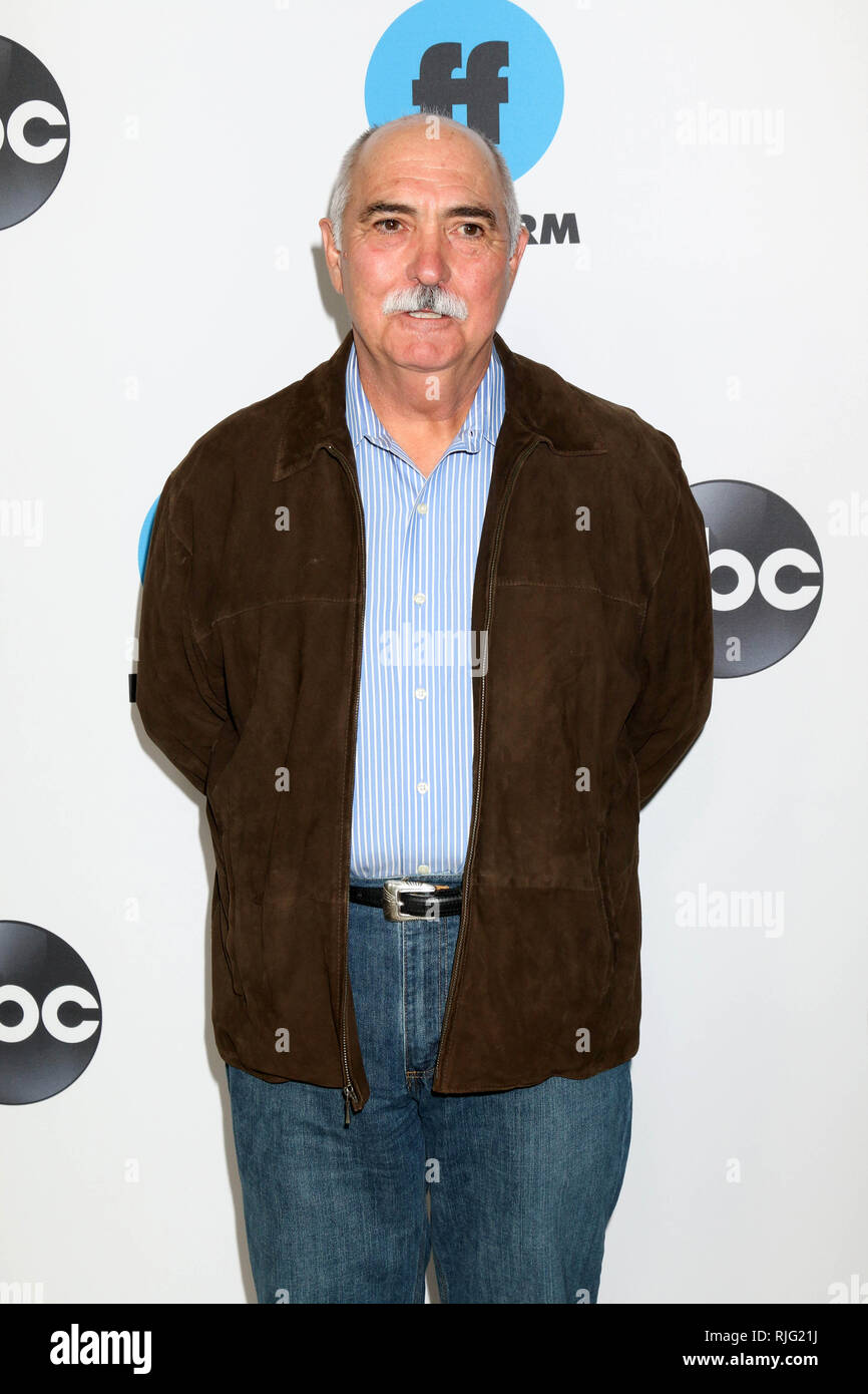 LOS ANGELES - FEB 5: Miguel Sandoval at the Disney ABC Television ...