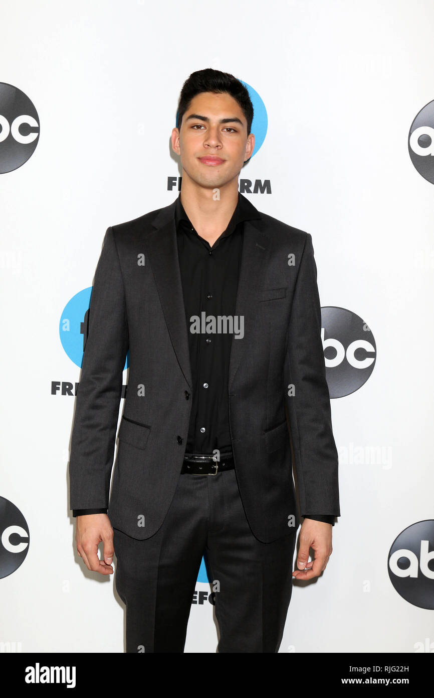 LOS ANGELES - FEB 5: Niko Guardado at the Disney ABC Television Winter ...