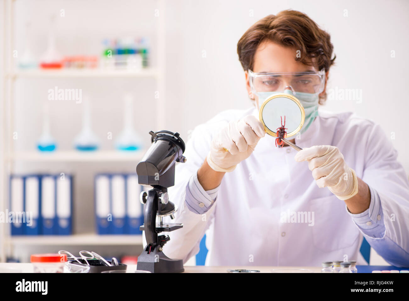 Male entomologist working in the lab on new species Stock Photo - Alamy