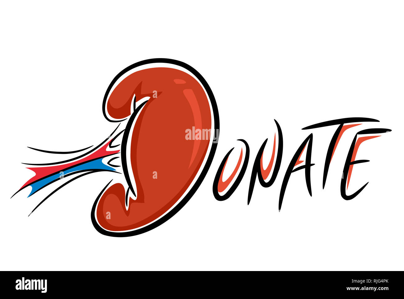 Donate kidney hi-res stock photography and images - Alamy