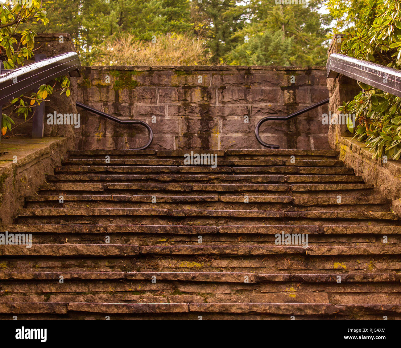 Going up stairs hi-res stock photography and images - Alamy