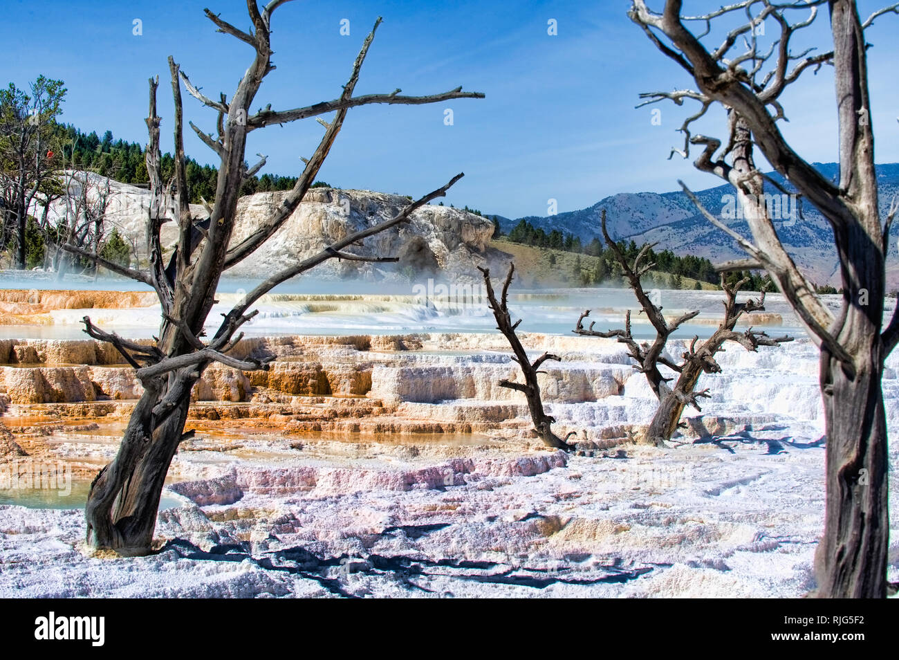 Indian pond and yellowstone hi-res stock photography and images - Alamy