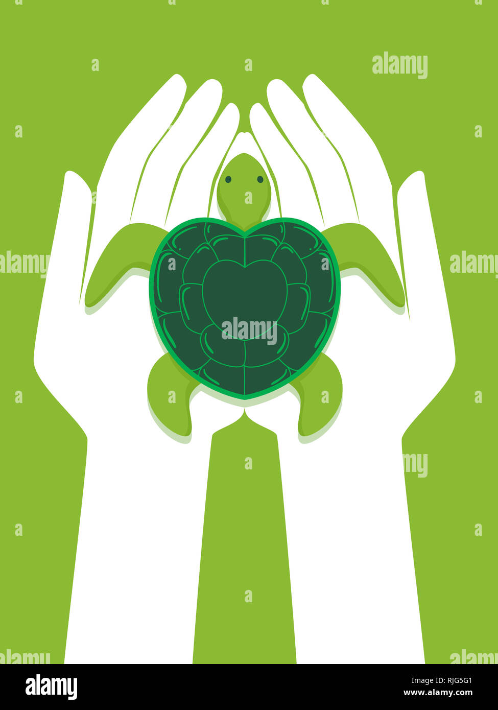 Hands holding sea turtles hi-res stock photography and images - Alamy