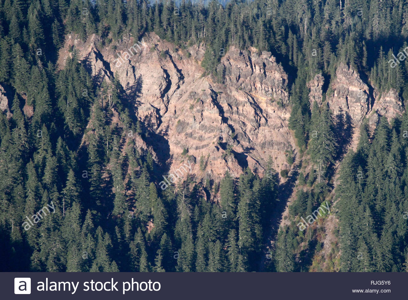Bunchgrass High Resolution Stock Photography and Images - Alamy