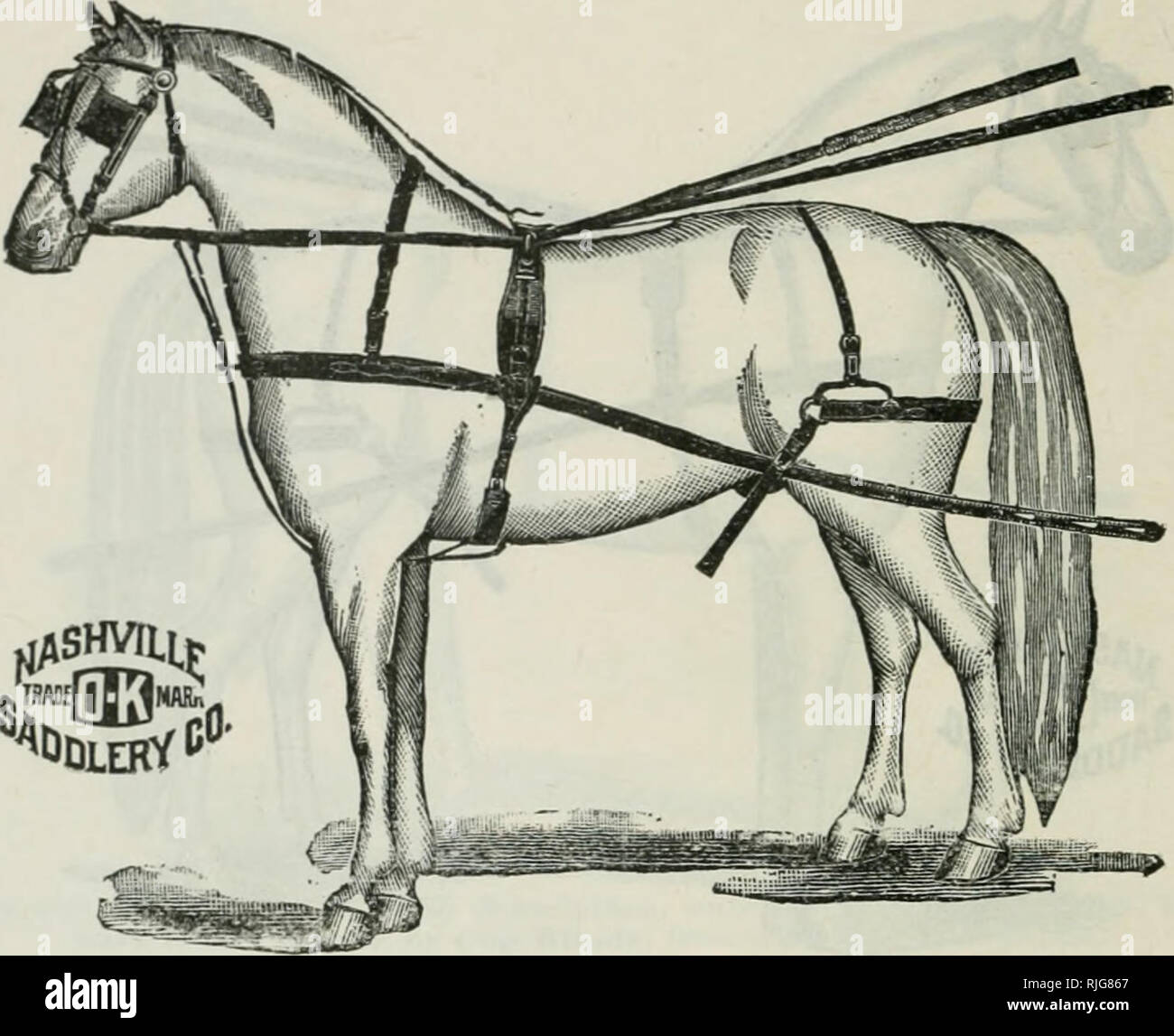 Flat laced collar hi-res stock photography and images - Alamy