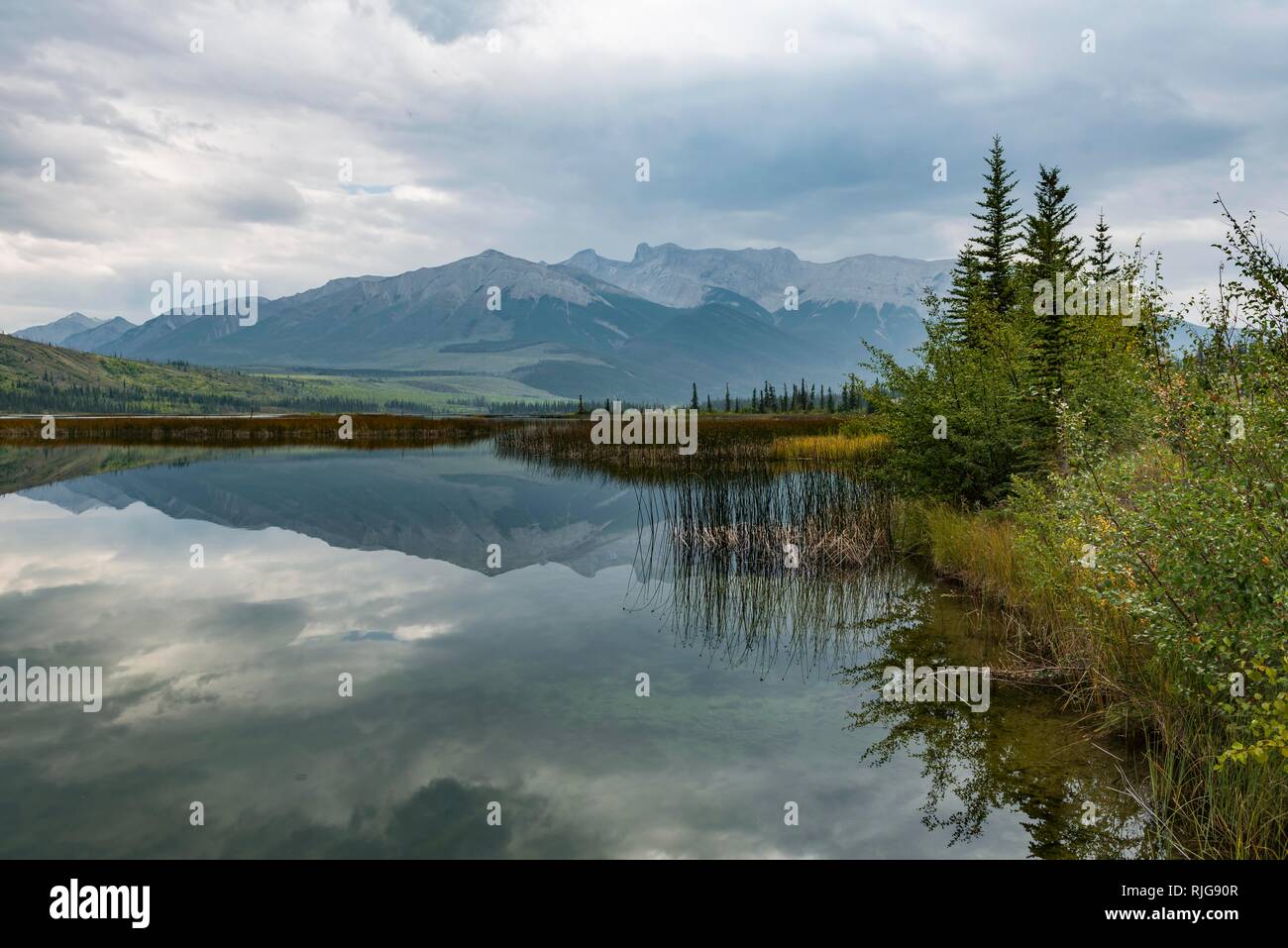 Hilly landscape reflected in a lake, Talbot Lake, Jasper National Park ...