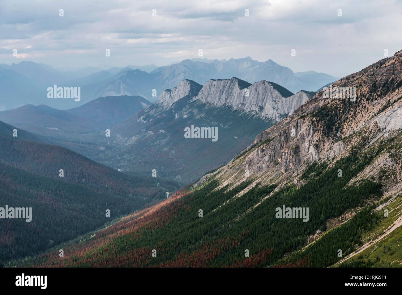 Striking mountain range, Ashlar Ridge, Jasper National Park, British ...