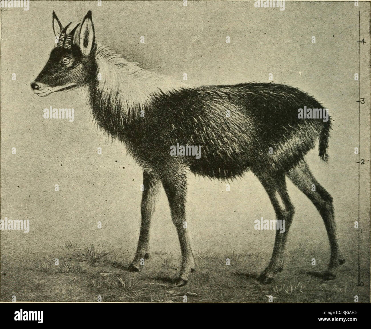 48 633 hi-res stock photography and images - Alamy