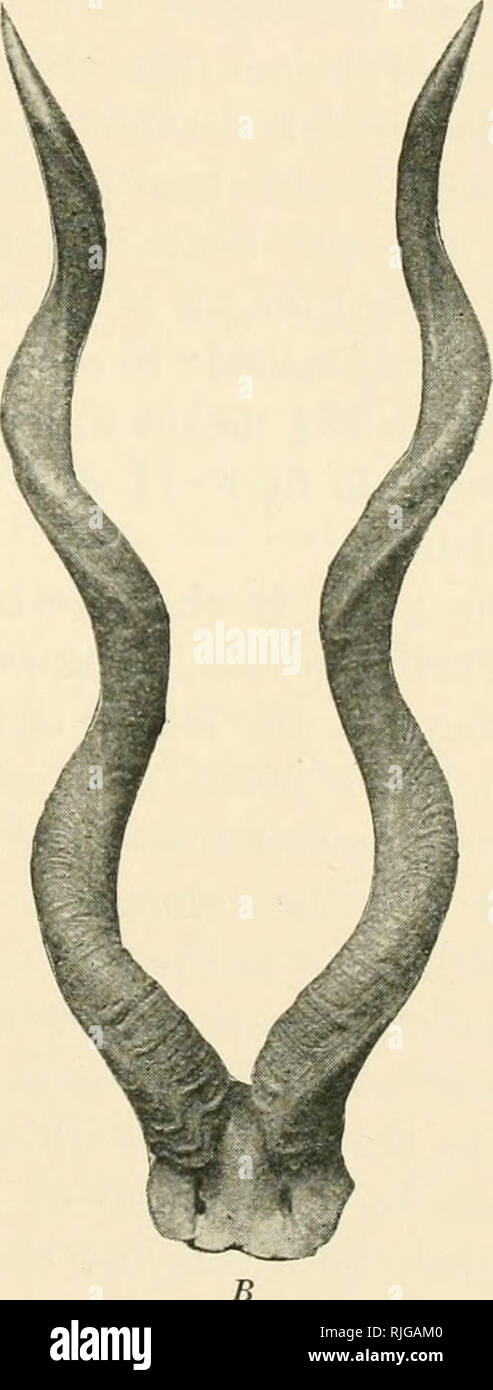 Eleven transverse stripes hi-res stock photography and images - Alamy