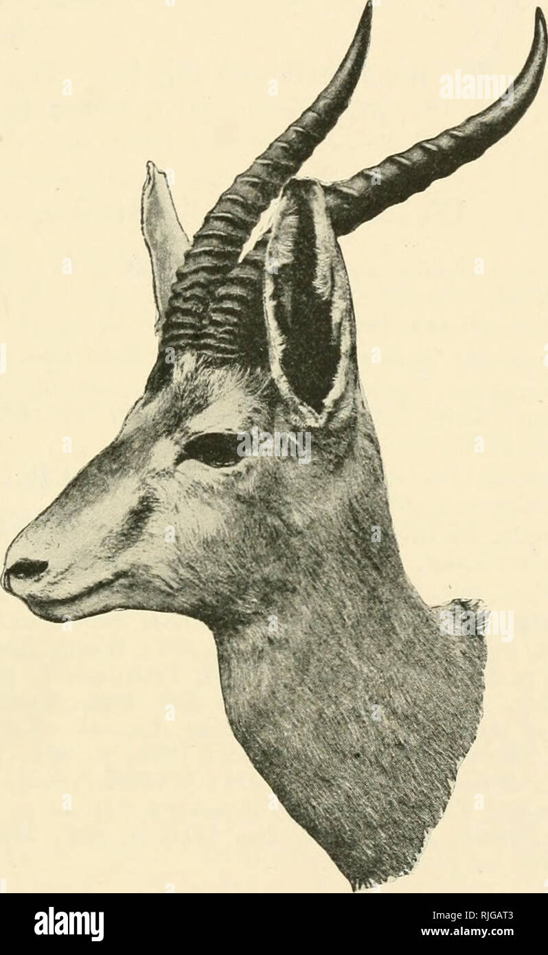 Gwalior district hi-res stock photography and images - Alamy