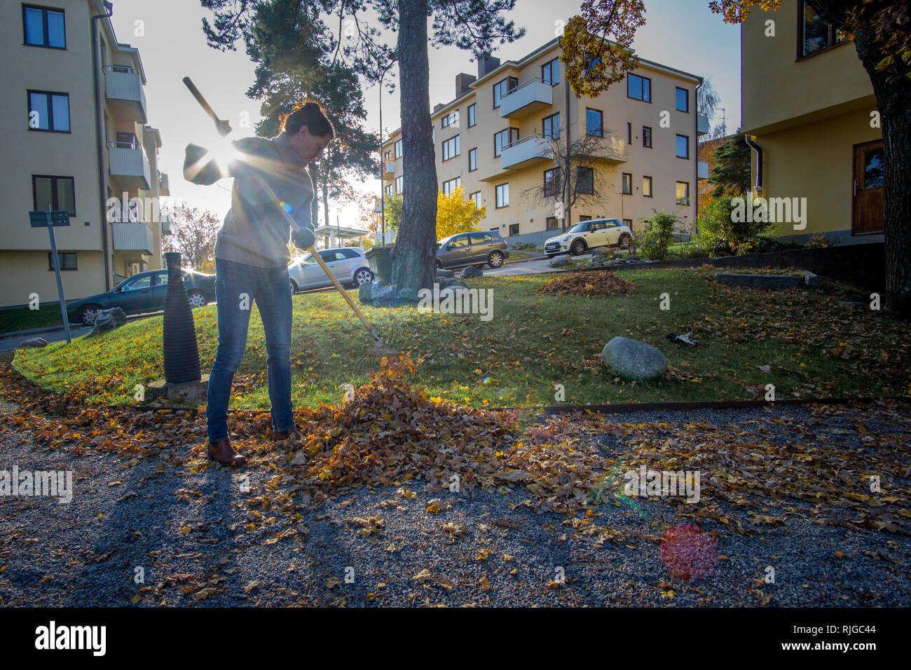 Woman raking leaf hi-res stock photography and images - Alamy