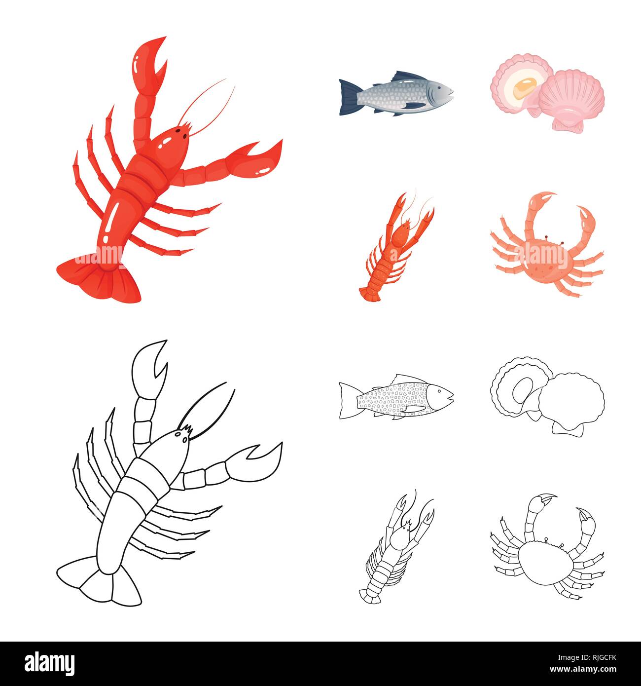 lobster,salmon,jellyfish,crab,crayfish,fish,cooked,shell,meat,trout ...