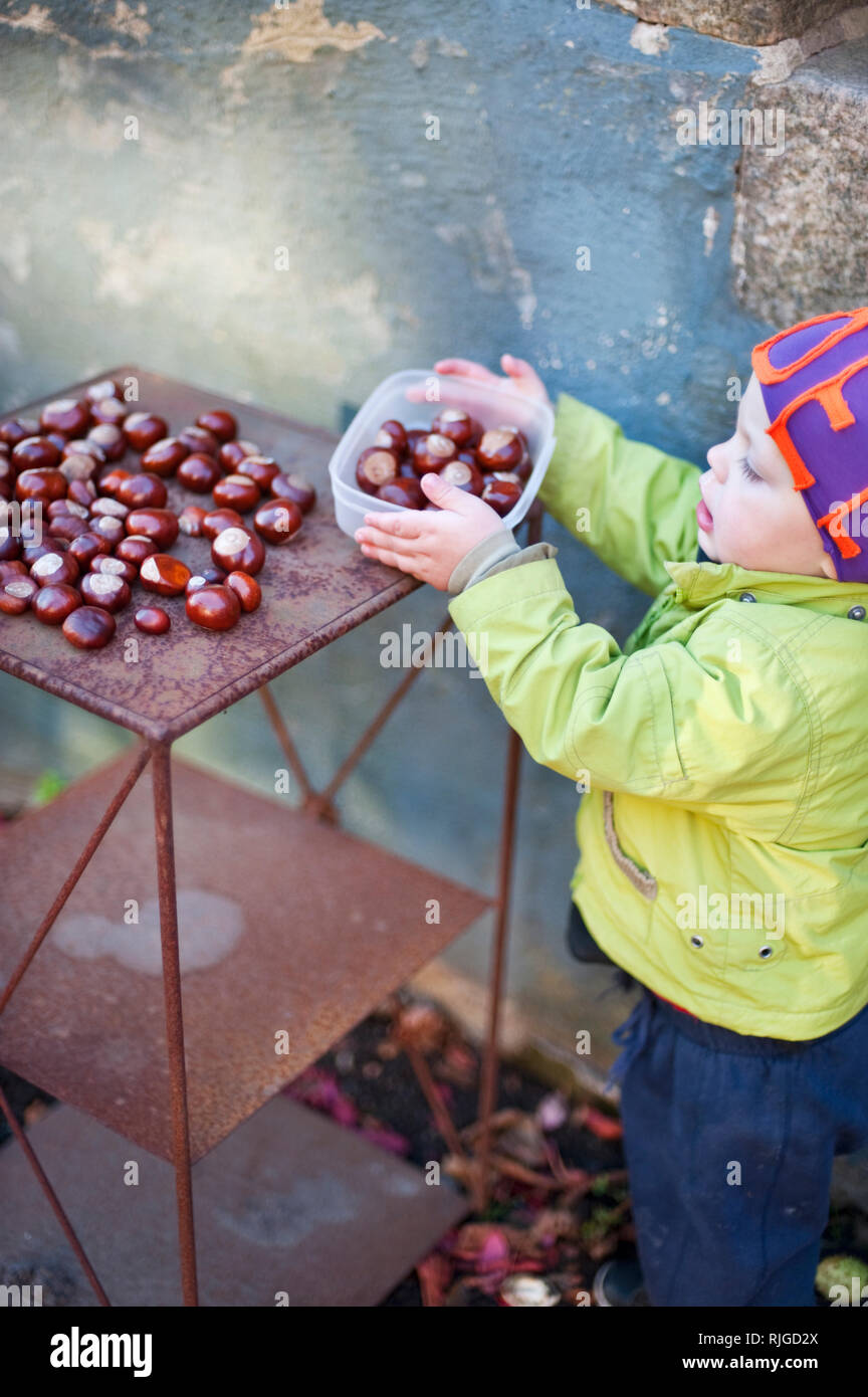 Boy holding plastic box with chestnuts Stock Photo - Alamy