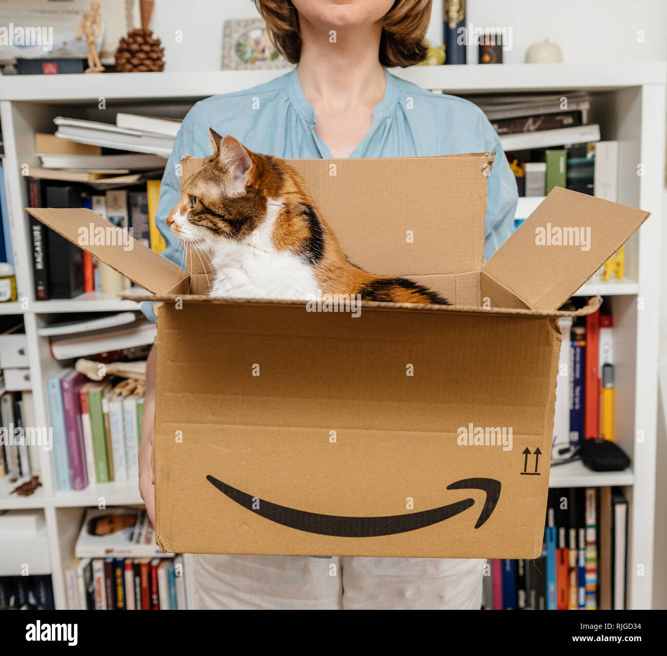Amazon box cat hi-res stock photography and images - Alamy