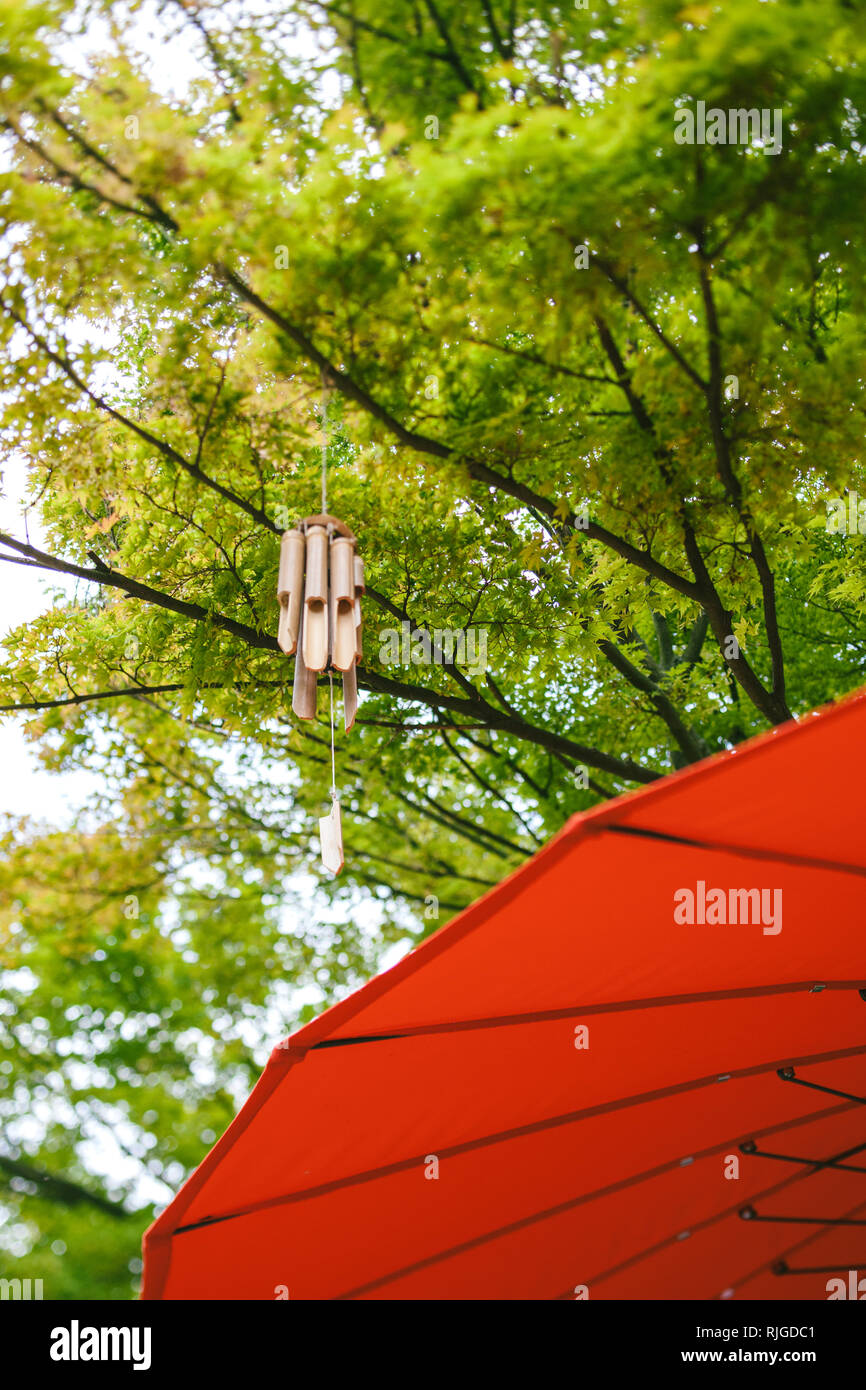 Japanese wind chimes wooden bamboo bells handed on tree in Japanese ...