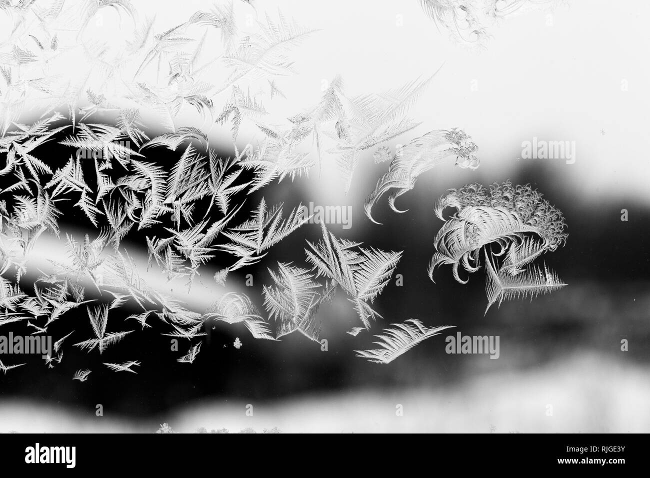 Frosty texture Black and White Stock Photos & Images - Alamy