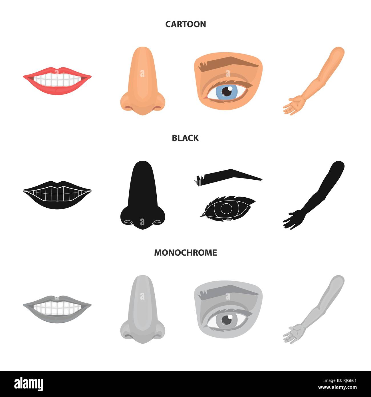 Isolated object of body and part icon. Set of body and anatomy stock ...