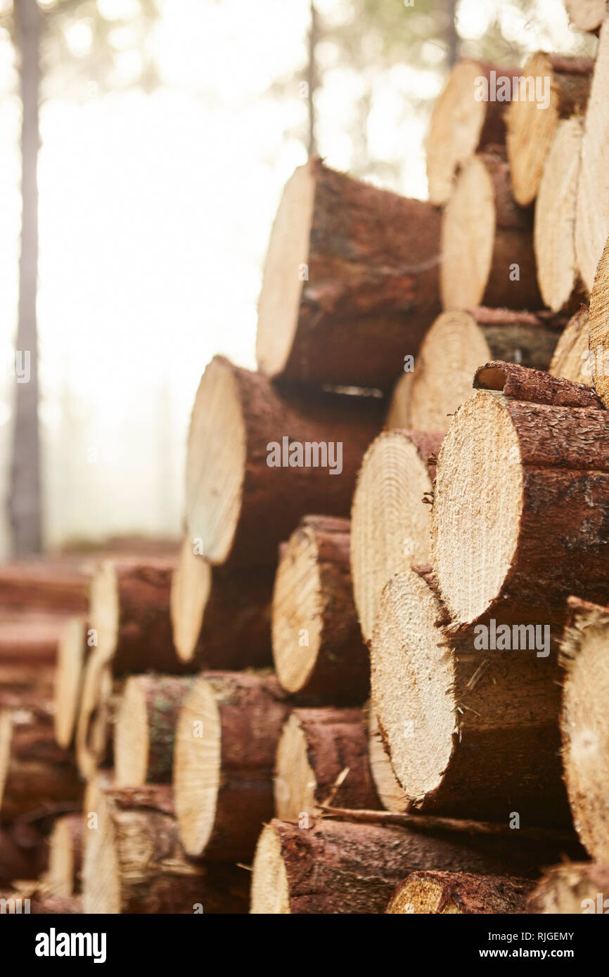 Up quantity hi-res stock photography and images - Alamy