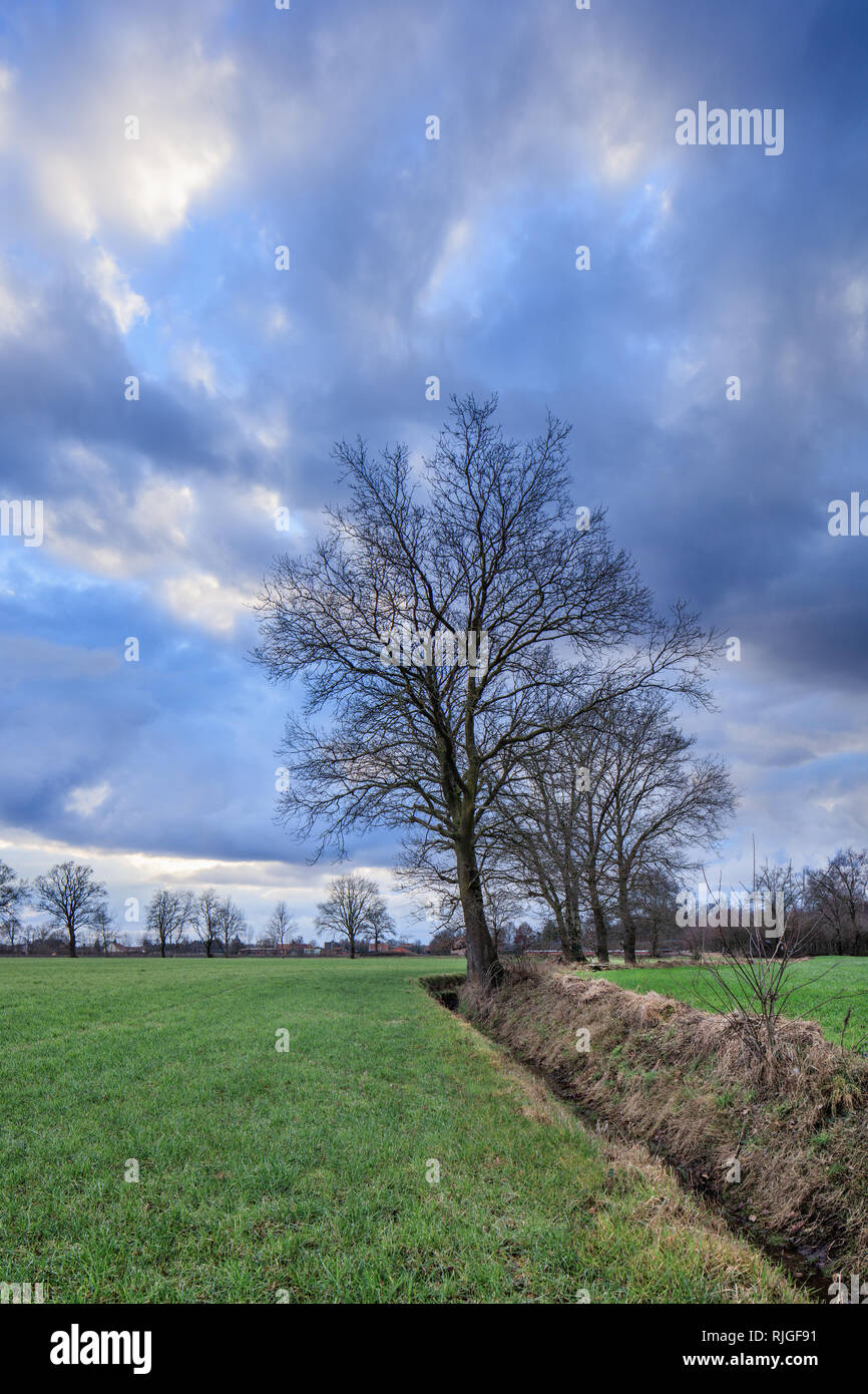 Rural scenery, field with trees near a ditch with dramatic clouds at ...