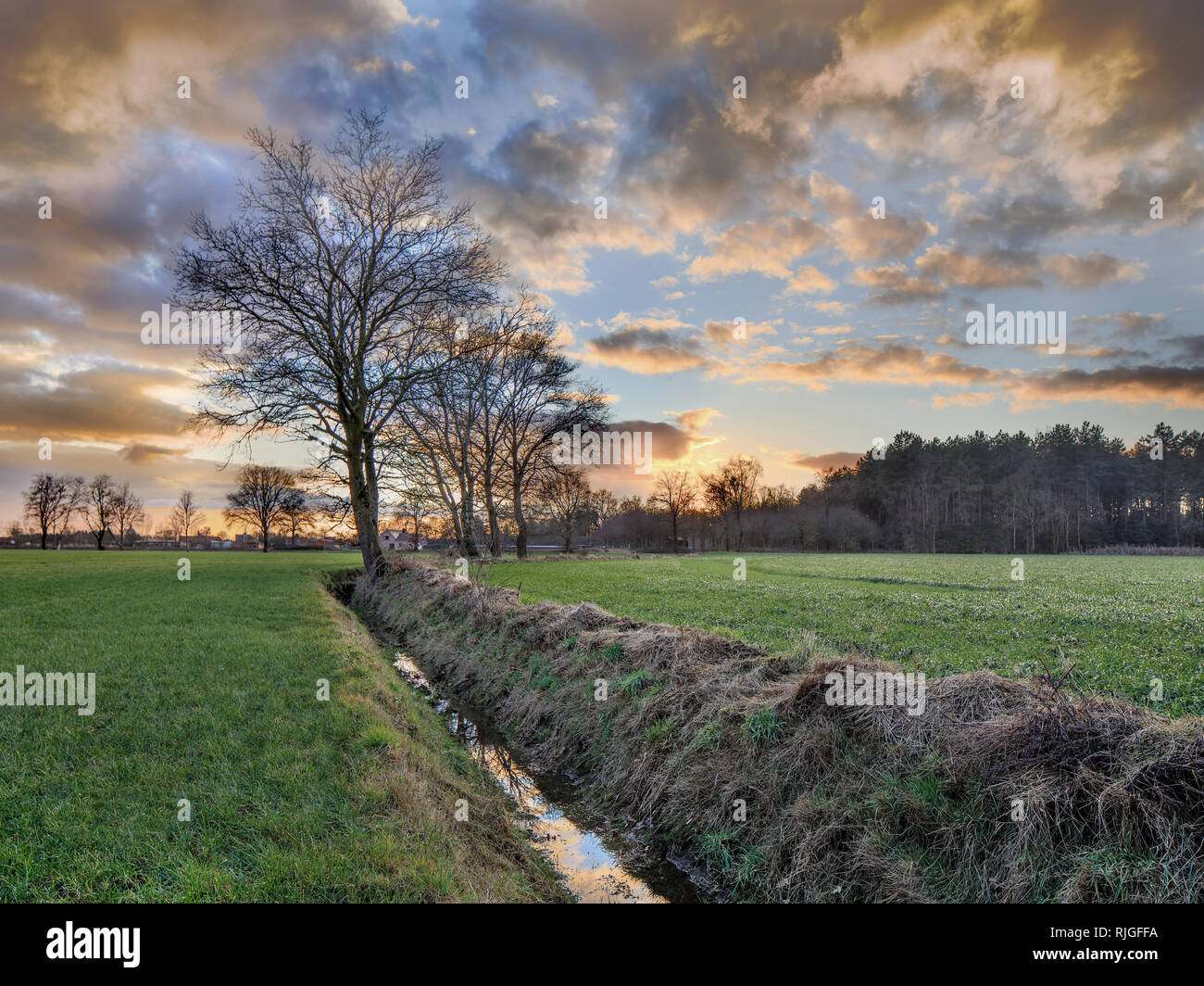 Rural scenery, field with trees near a ditch and colorful sunset with ...