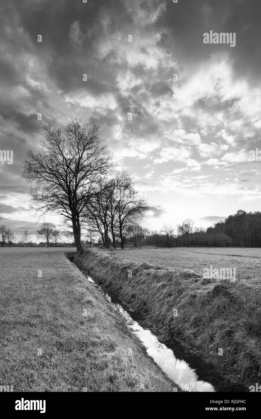 Rural scenery, field with trees near a ditch and sunset with dramatic ...