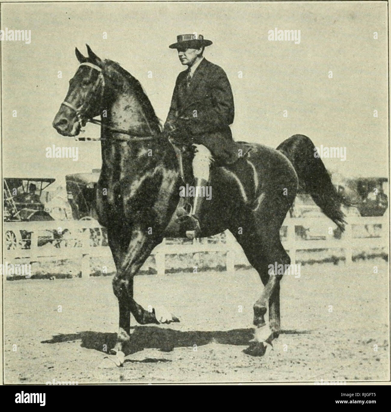 . Beginnings in animal husbandry. Livestock; Poultry. THE BREEDS OF ...