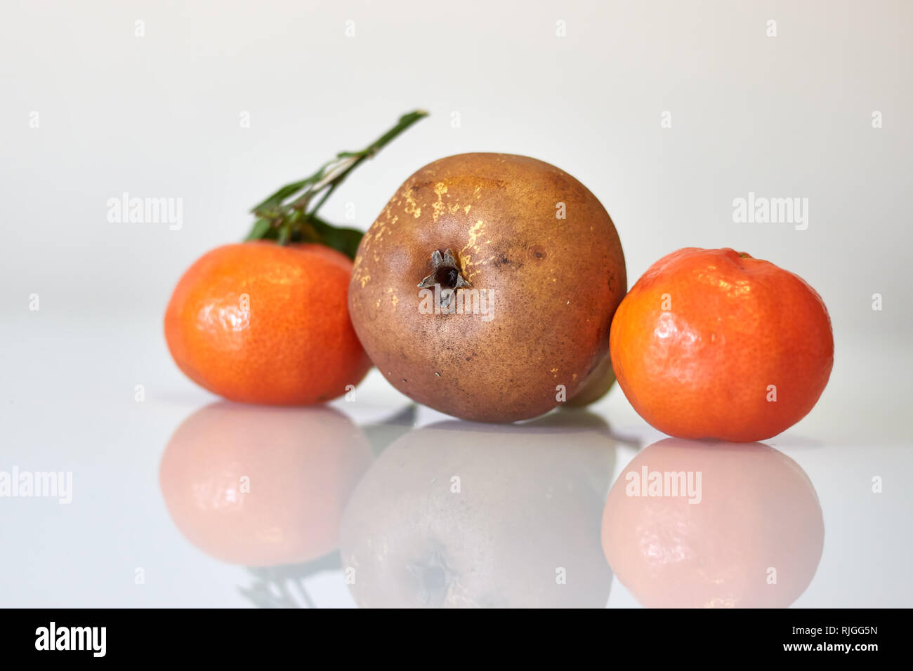Tree fruits on white background, pear and oranges Stock Photo - Alamy