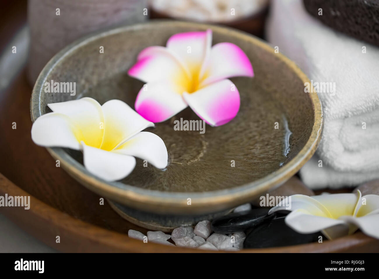 Spa still life with frangipani flowers in a bowl, spa and wellness ...