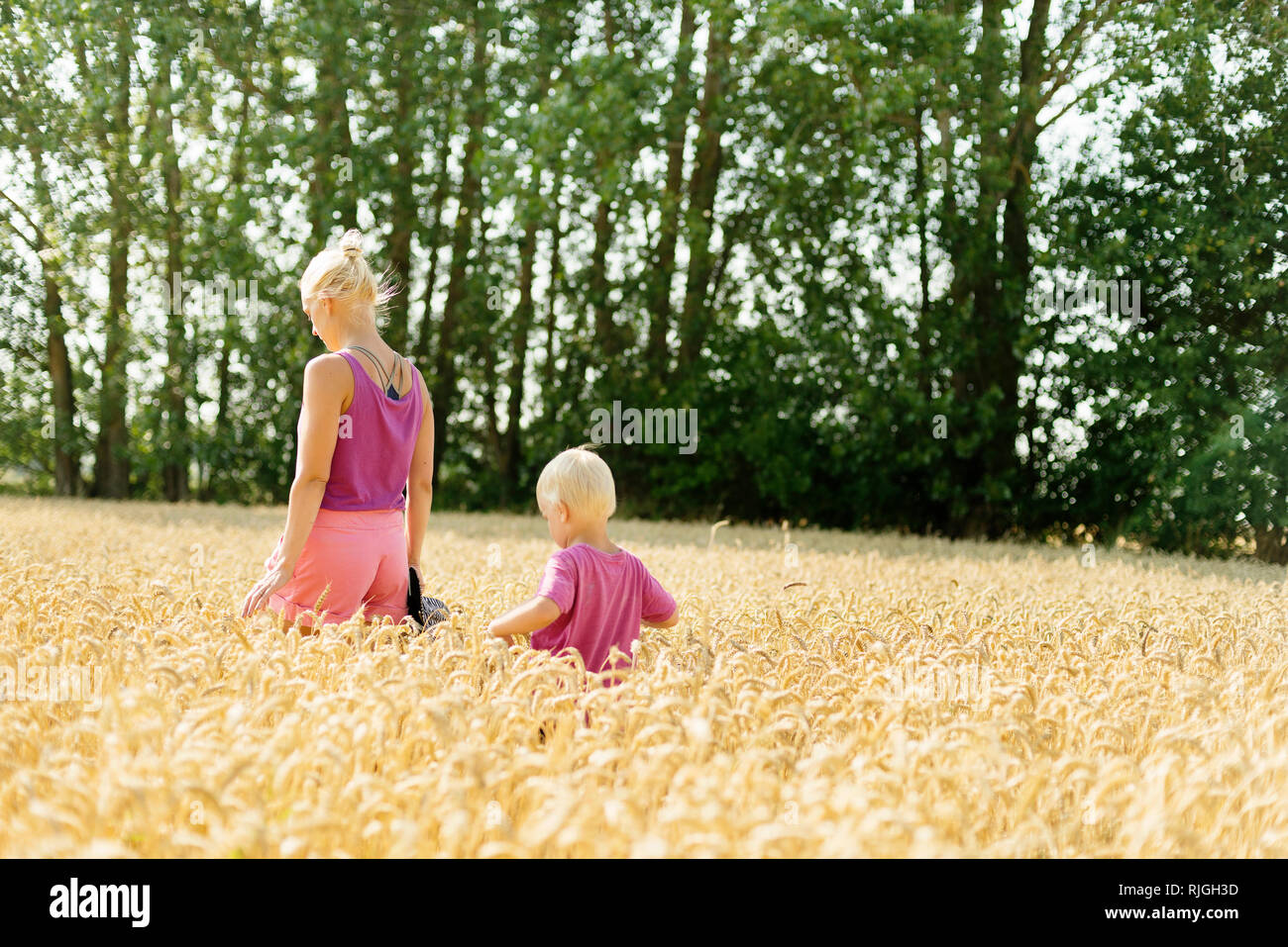 Wheat field people walking hi-res stock photography and images - Alamy