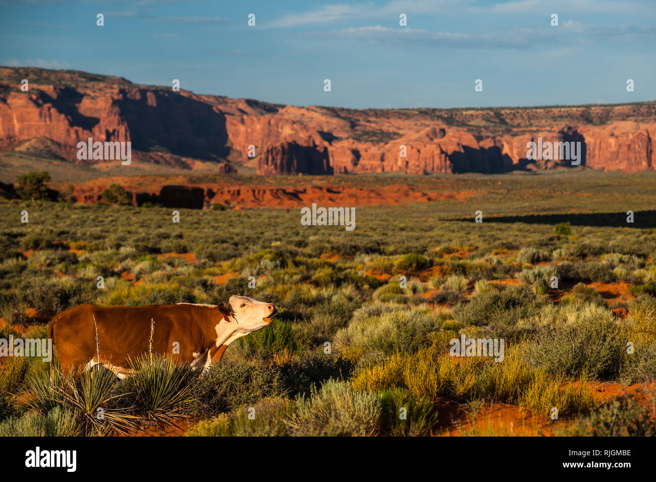 Indian monument valley hi-res stock photography and images - Alamy