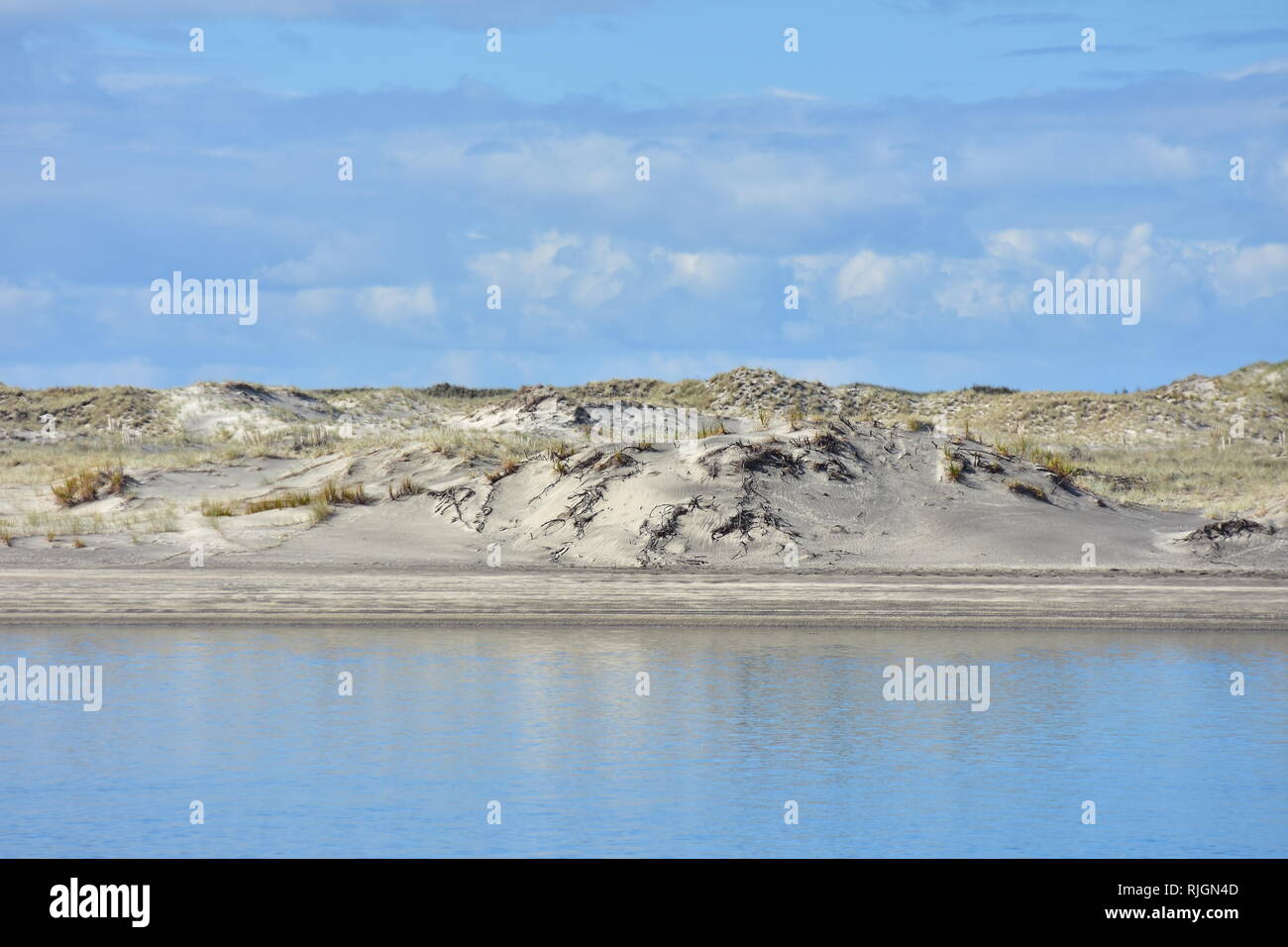 Layer of sand dune with recovering native vegetation in between blue ...
