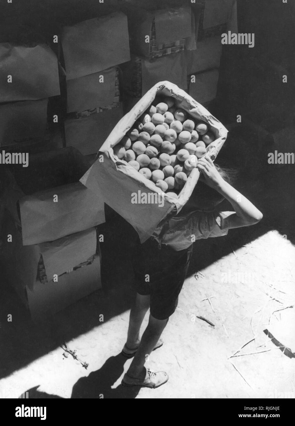 Stacking fruit boxes hi-res stock photography and images - Alamy