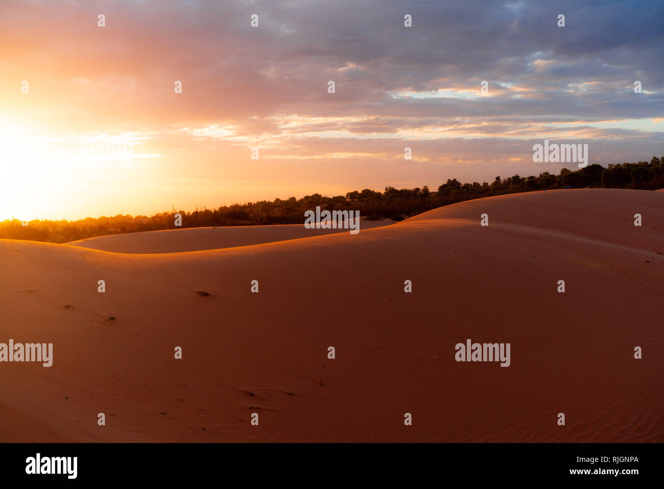 The red sand dunes in Mui ne, Vietnam is popular travel destination ...
