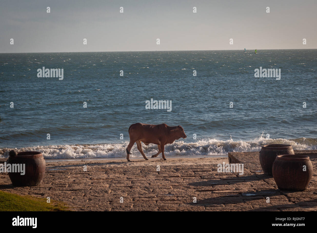 Sunset in Mui Ne beach, Phan Thiet, Southern Vietnam - Asia Stock Photo ...