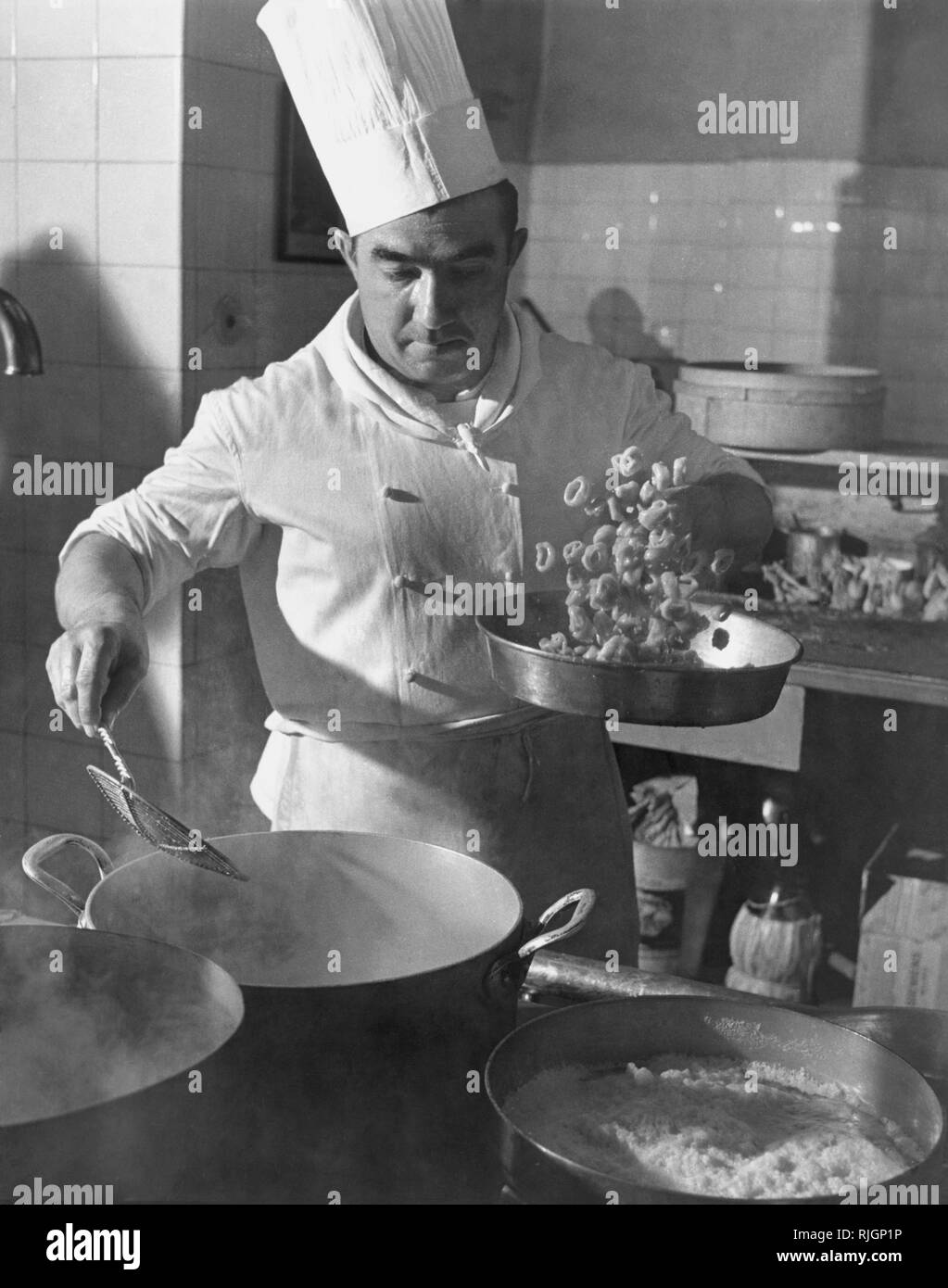 Pappagallo bologna hi-res stock photography and images - Alamy