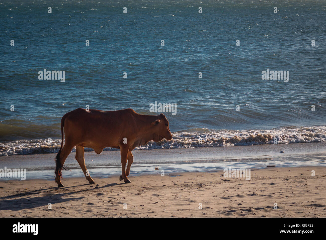 Sunset in Mui Ne beach, Phan Thiet, Southern Vietnam - Asia Stock Photo ...
