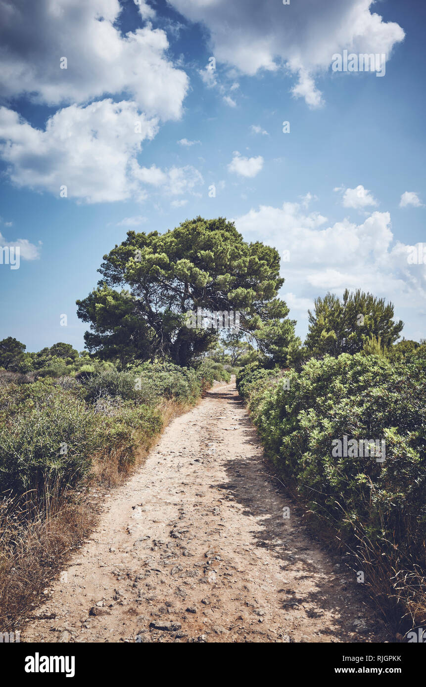 Color toned picture of a countryside road, Mallorca, Spain Stock Photo ...