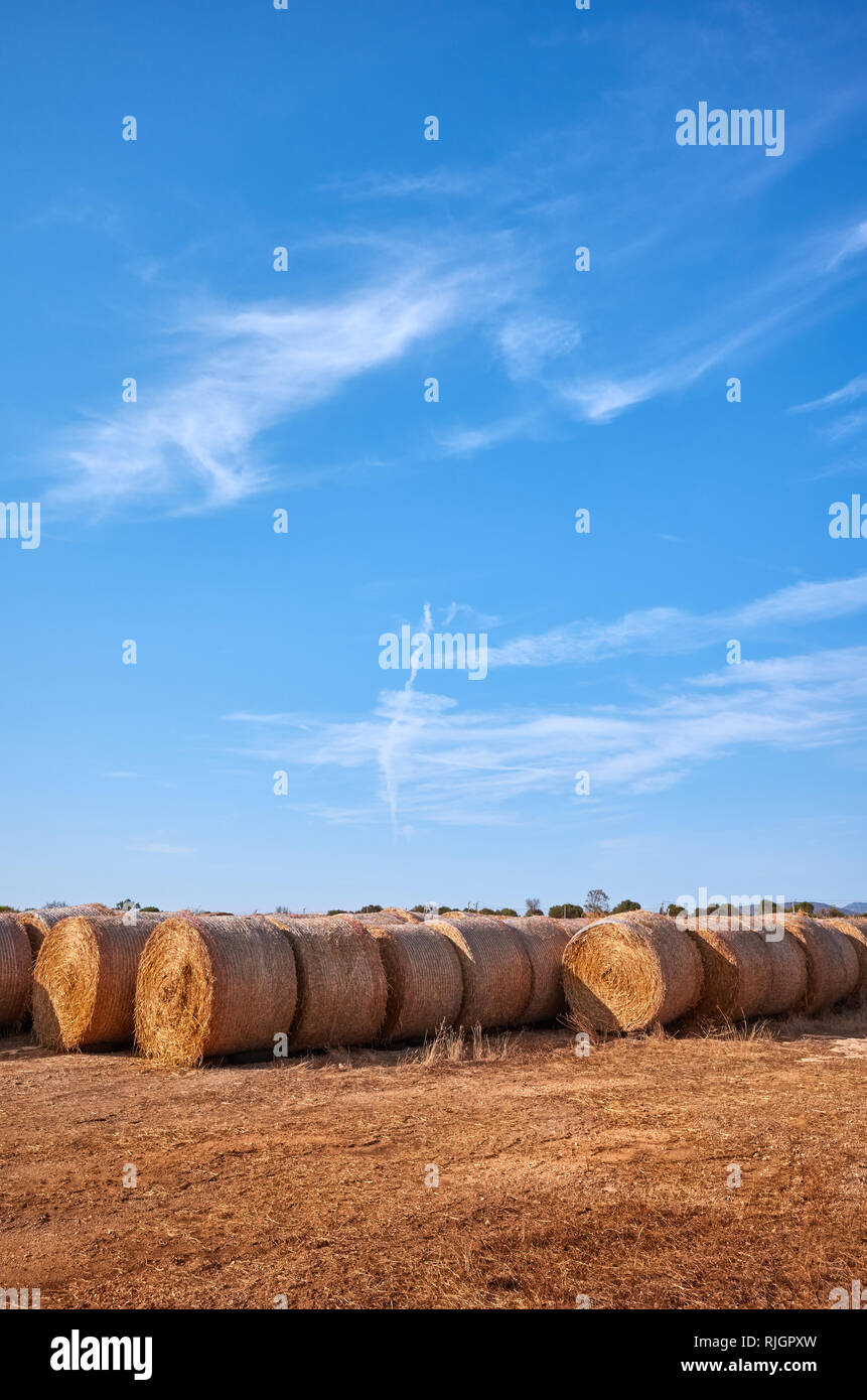 Hay bale field sunset hi-res stock photography and images - Alamy