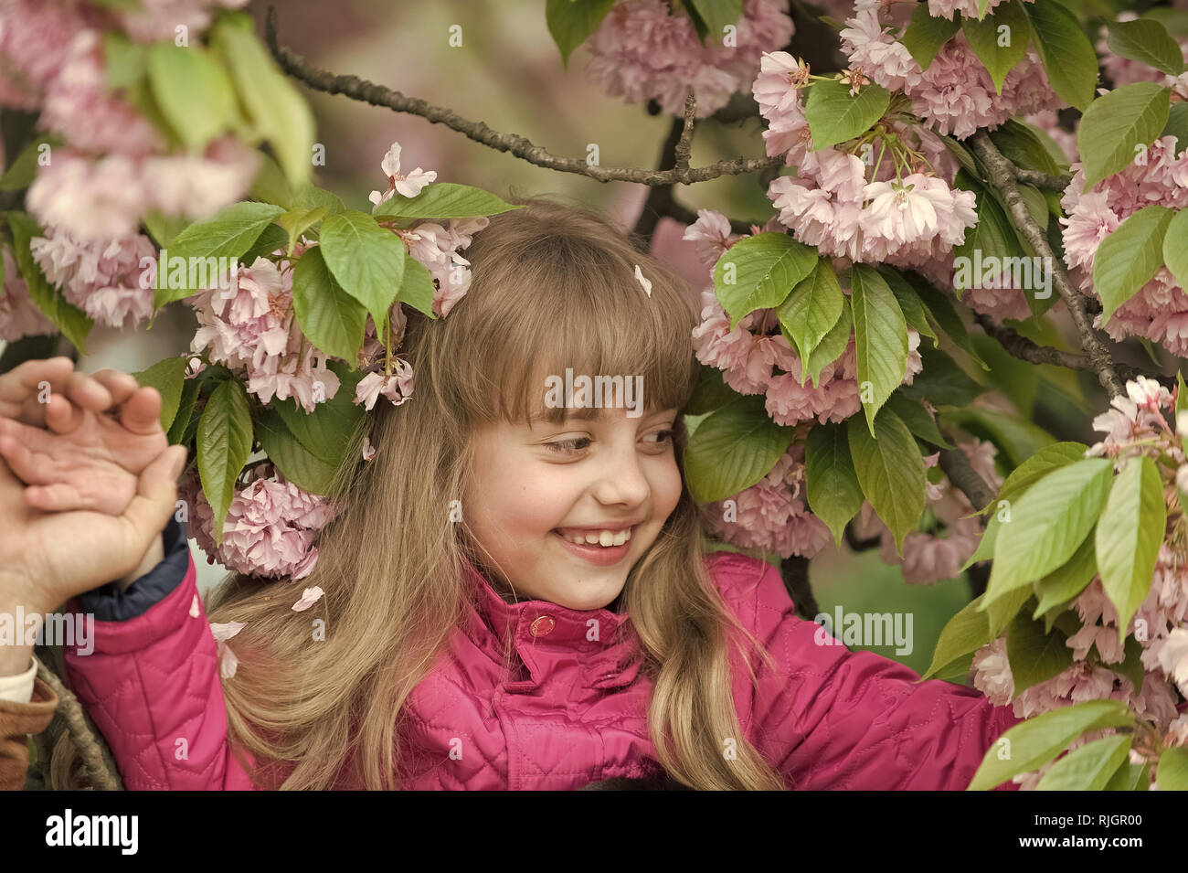 Little child with sakura flowers, spring. Girl smile with cherry ...