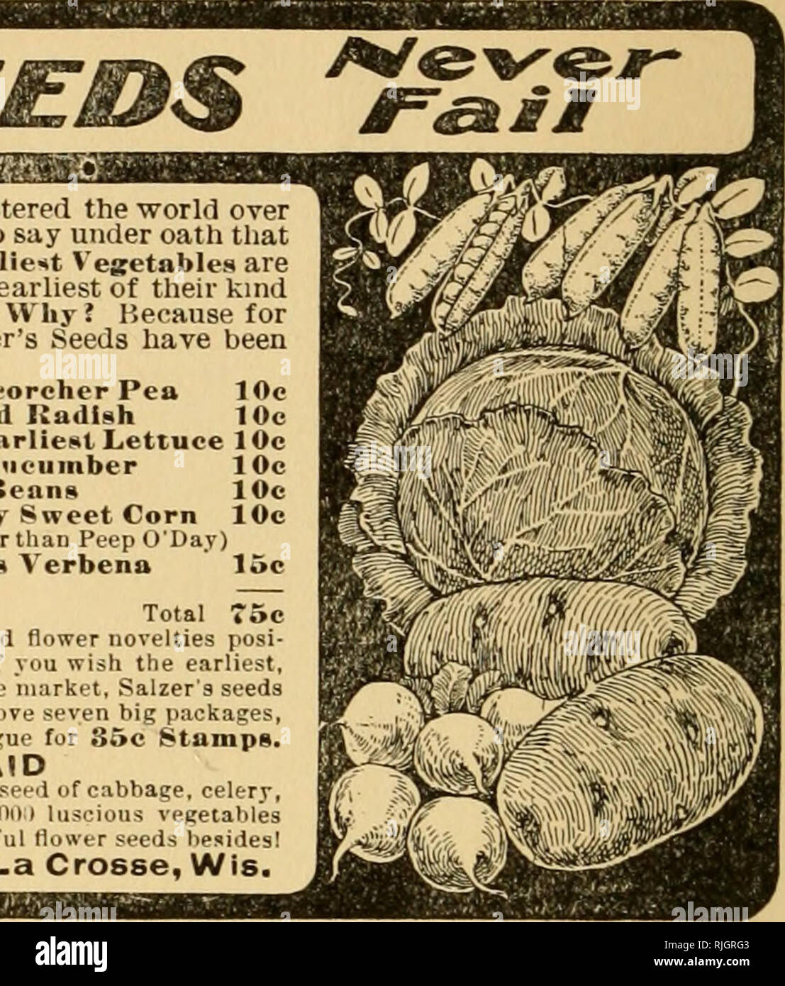 Oath keepers hi-res stock photography and images - Alamy