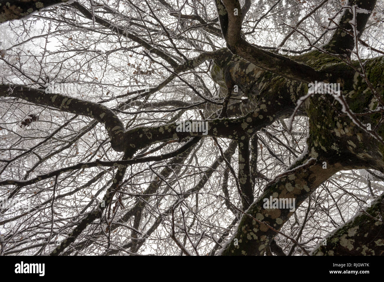 Look up beauty nature hi-res stock photography and images - Alamy