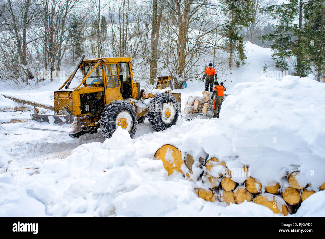 Forestry tractor hi-res stock photography and images - Alamy