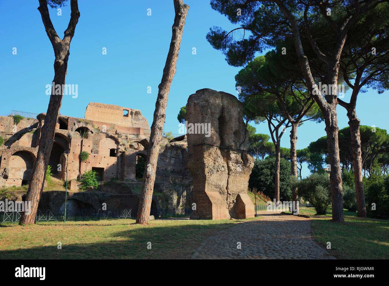 20717374 hi-res stock photography and images - Alamy