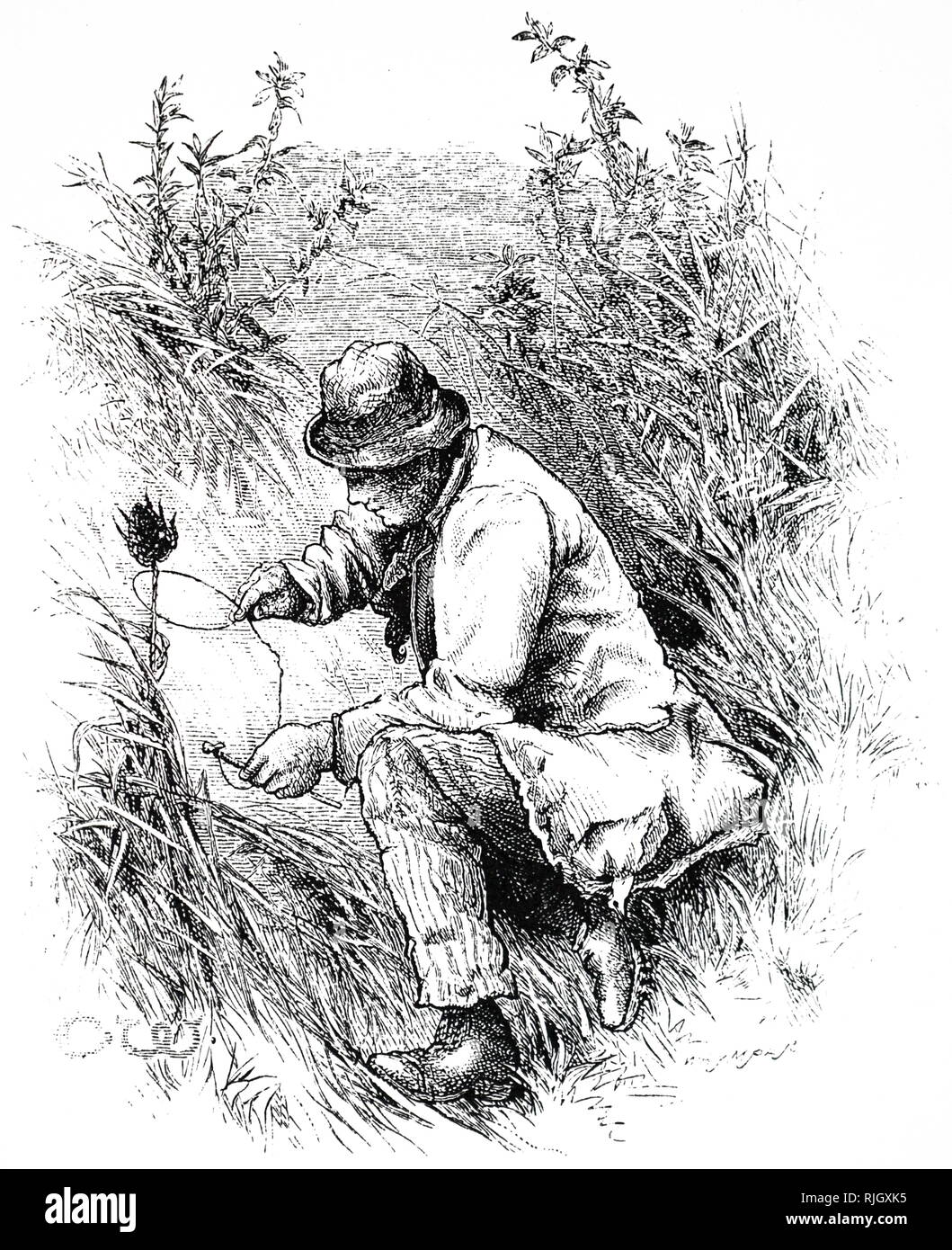 An engraving depicting a poacher setting a wire snare to catch a hare ...